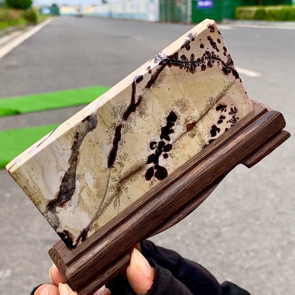 155G Beautiful Natural Chinese Dendritic Limestone Picture Stone Guohua ...