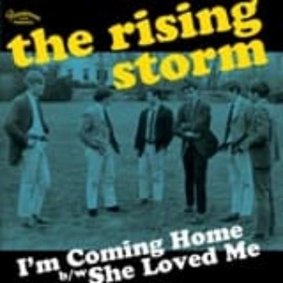 Rising Storm I'M Coming Home (Vinyl LP) 7" Single | eBay