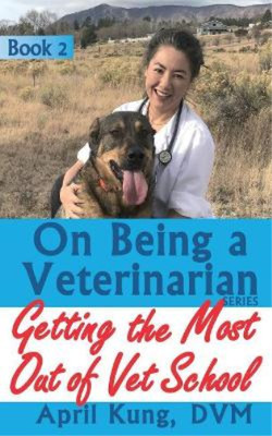 April Kung DVM On Being a Veterinarian (Paperback) | eBay