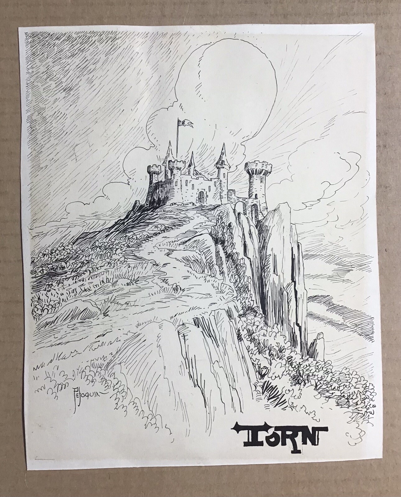 The Long Sword Original Back Cover Art by Dave Peloquin ~ Edgar Rice ...