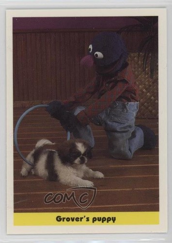 1992 CTW Sesame Street Grover's puppy #74 0kb5 | eBay