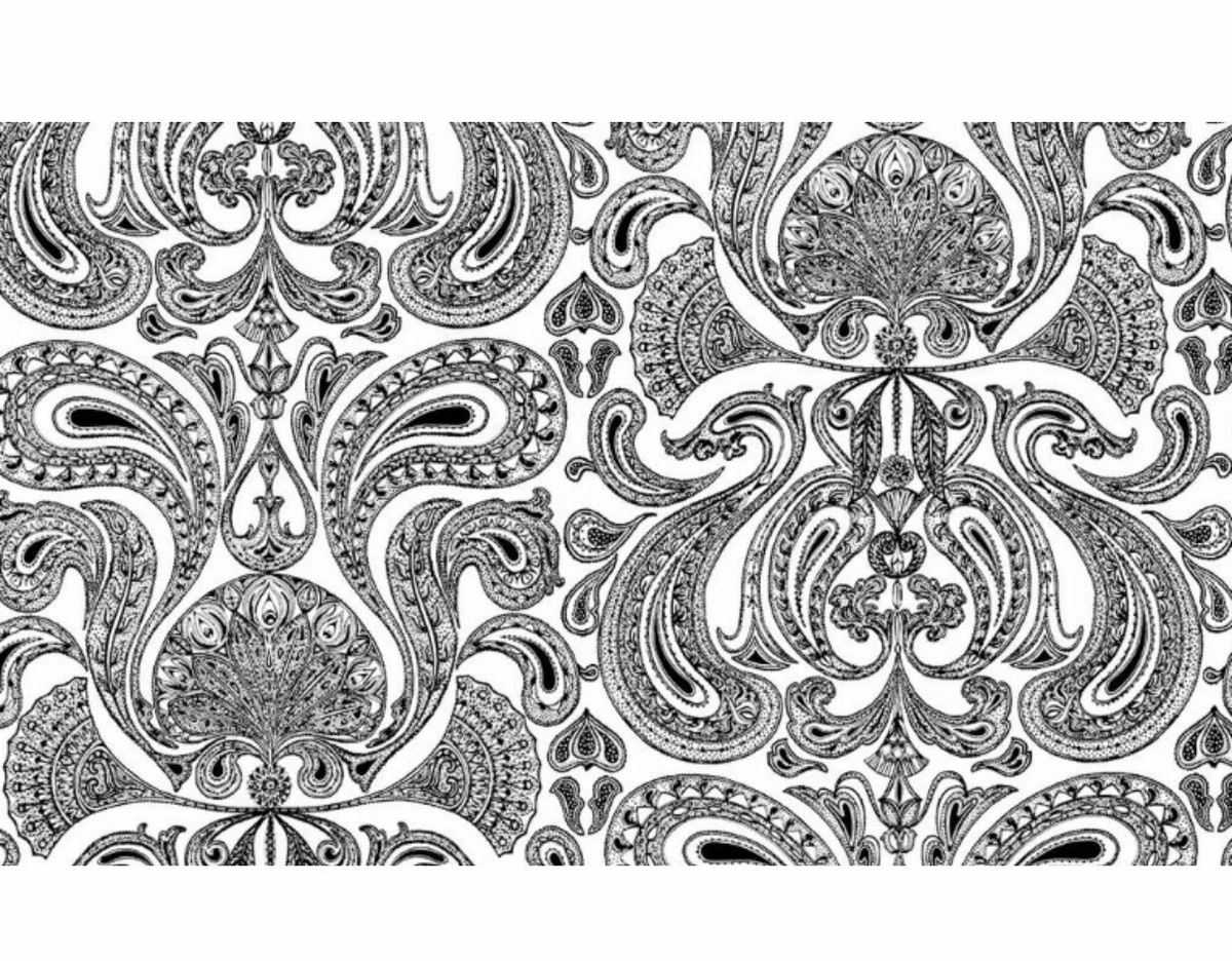 Black And White Paisley Wallpaper