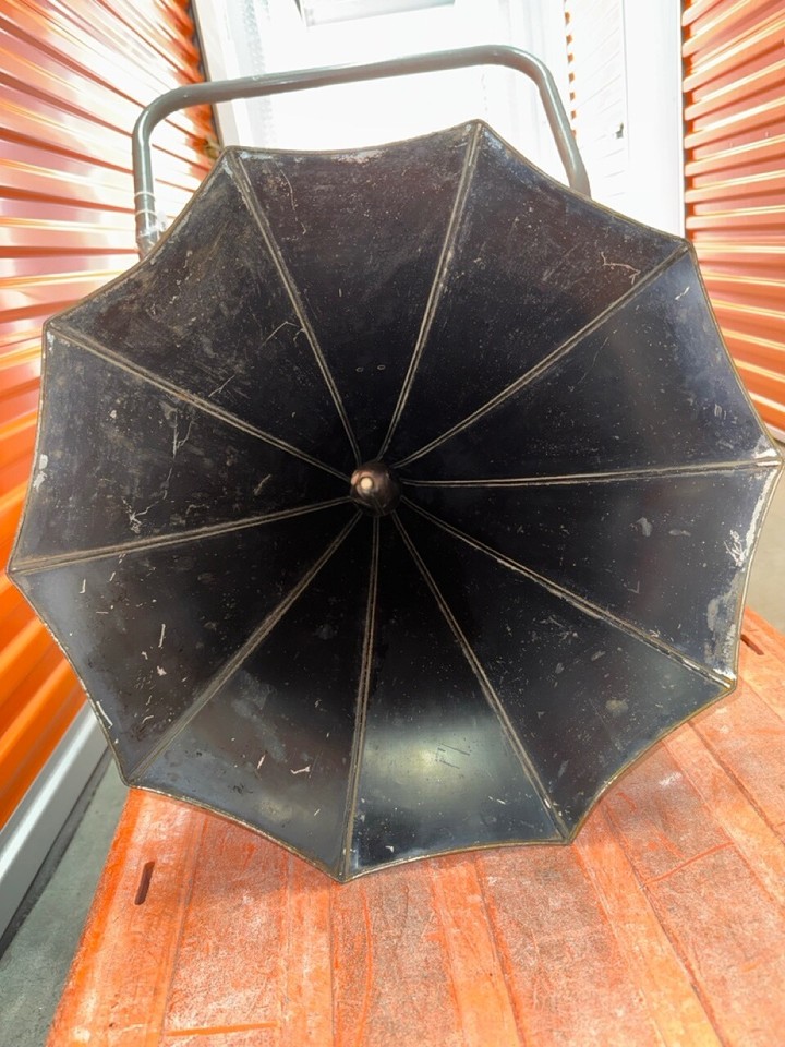 Antique Thomas A. Edison Phonograph 10 panel Standard Horn 32" x 19" | eBay