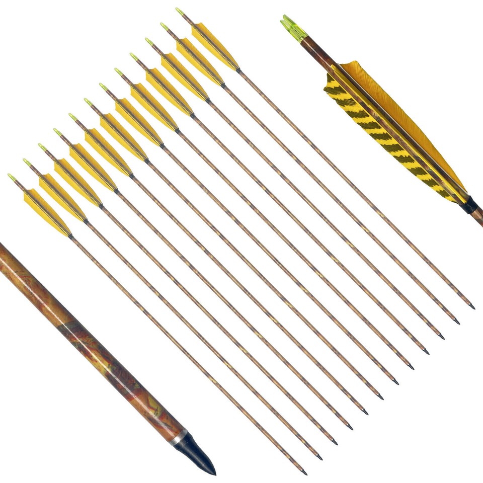 12PCS Hunting 31" Camouflage Carbon Arrows Archery Compound Bow Arrow ...