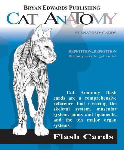 Cat : Flash Cards by Flash Anatomy Staff (1998, Hardcover) for sale ...