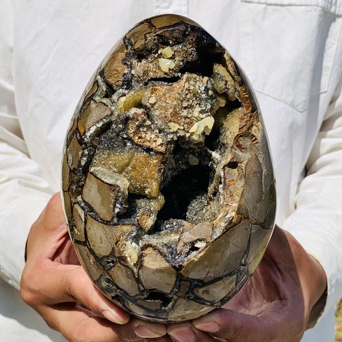 5.98LB Natural Turtle Back Stone Dragon Crystal Cave Crack Gem Healing ...