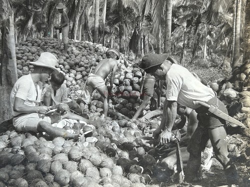 Philippines Island Luzon Bowl Washing Nuts Coco 1906 Photo Stereo ...