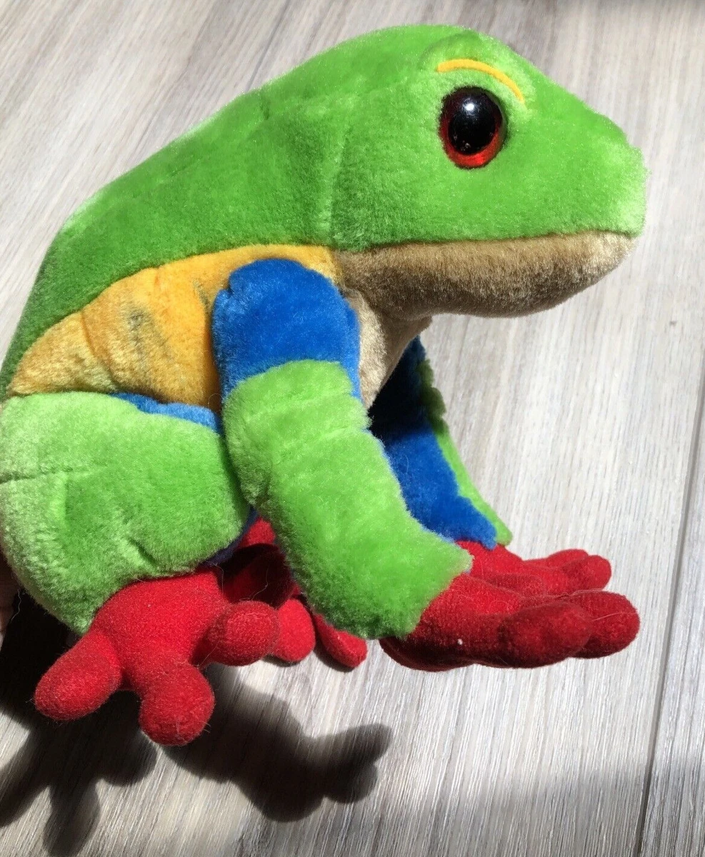 Rainbow Tree Frog