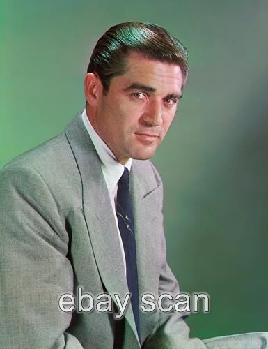 CLASSIC ACTOR STEVE COCHRAN PORTRAIT HANDSOME 8X10 PHOTO 24 | eBay