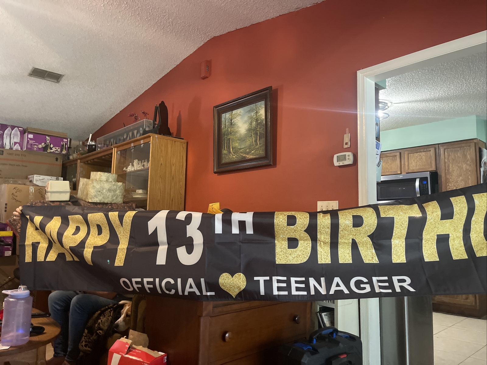 Happy 13th Birthday Banner, Official Teenager Banner, Long Cloth NEW | eBay