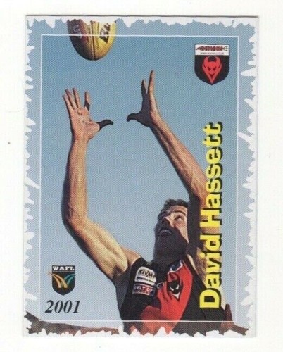 WAFL Australia - Perth Demons 2001 - David Hassett | eBay