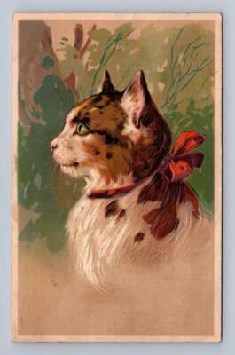 Beautiful Antique Embossed Cat Profile Postcard PFB 5951 Delphos Ohio ...