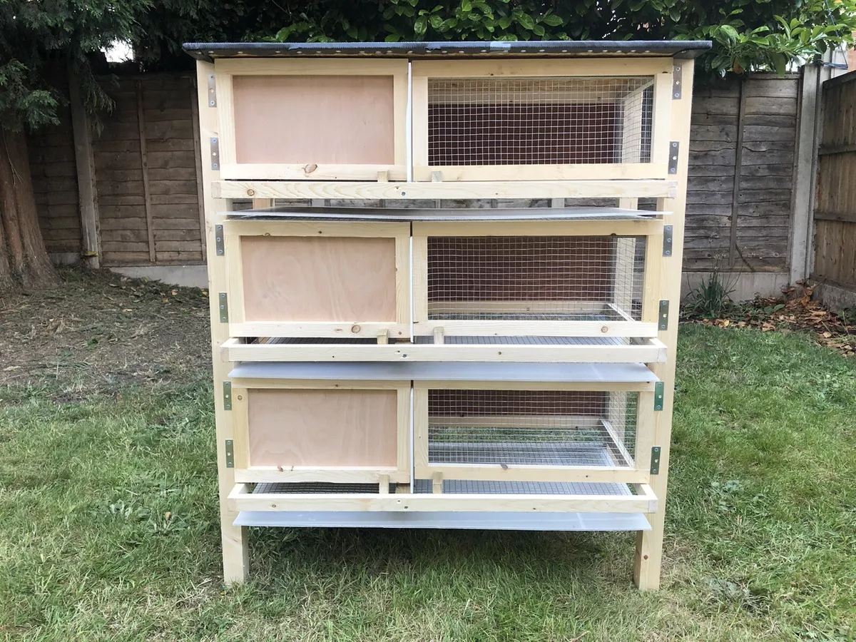 Quail Housing