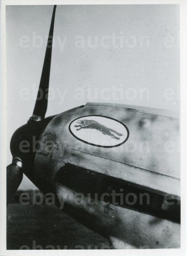 Messerschmitt Bf109E-4 - JG52 badge | eBay
