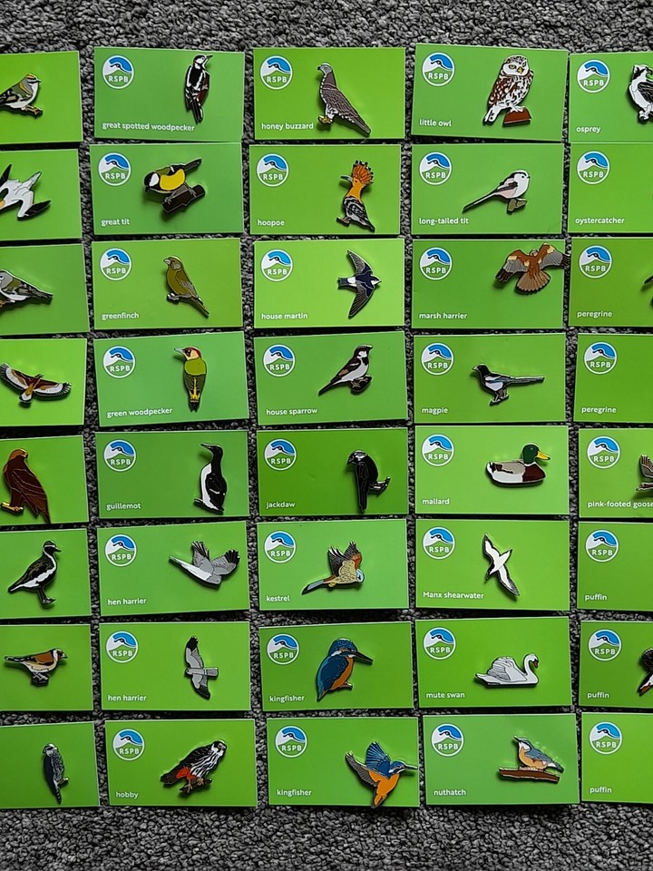 78 RSPB Full Set Of NIIC Bird Charity Pin Badges | eBay UK