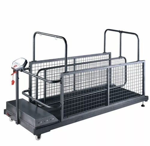 Motorized Double Treads Dual Dog Treadmill / Walking Machine Wire Mesh ...