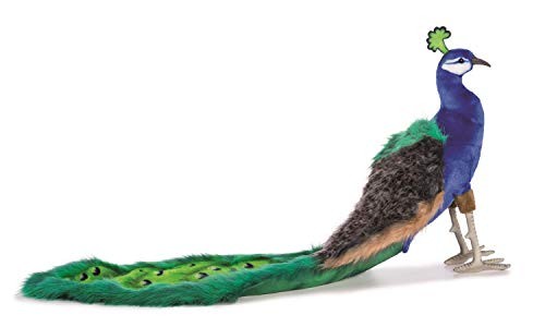 Hansa (HANSA) Animal Plush toy Kujako No.5437 | eBay