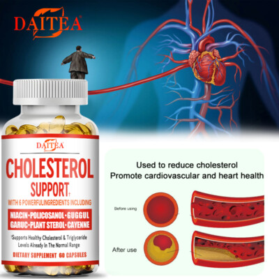 Cholesterol Support Capsules – 6 Active Ingredients – Lower Cholesterol ...