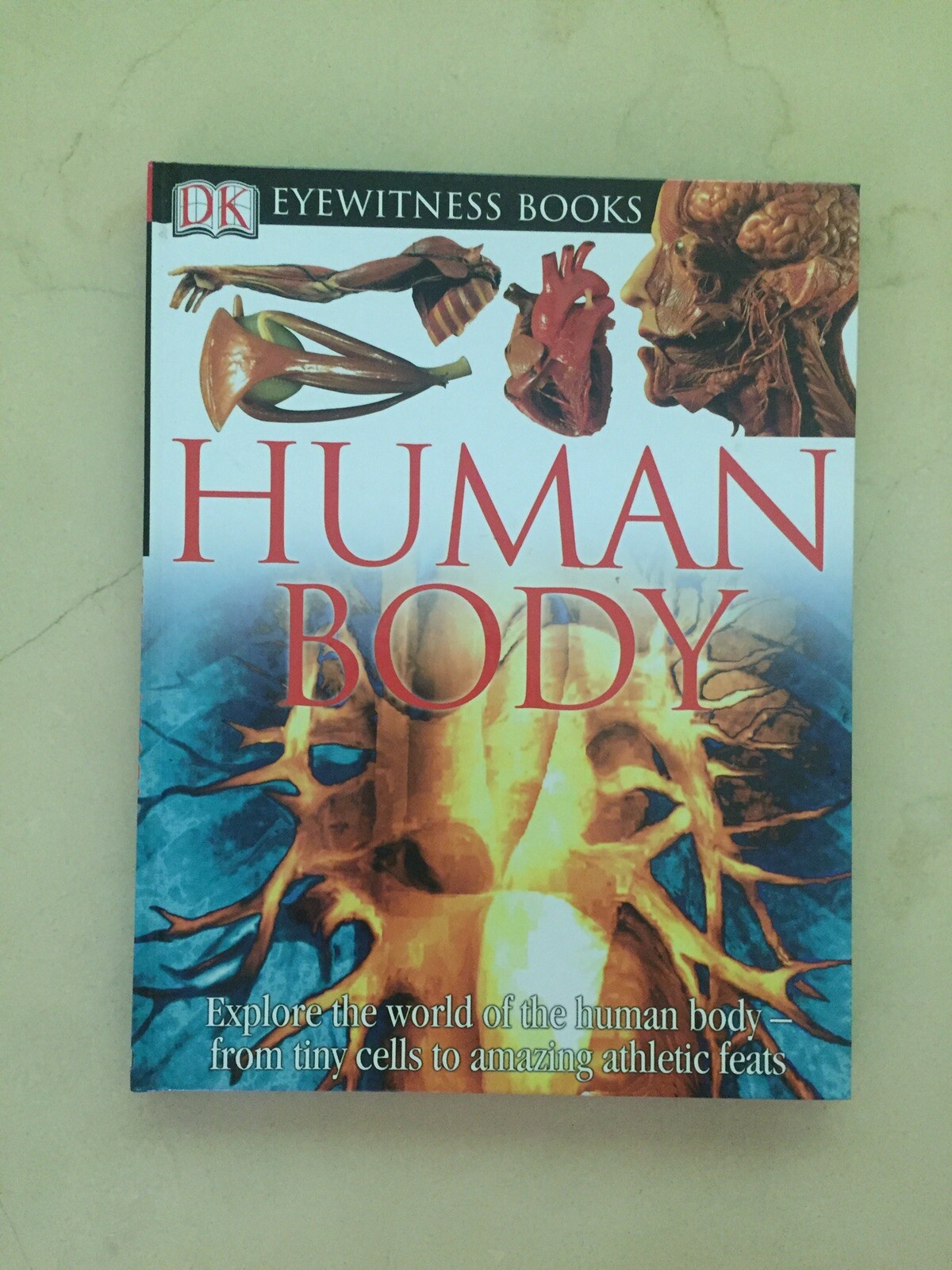 Eyewitness Human Body | eBay