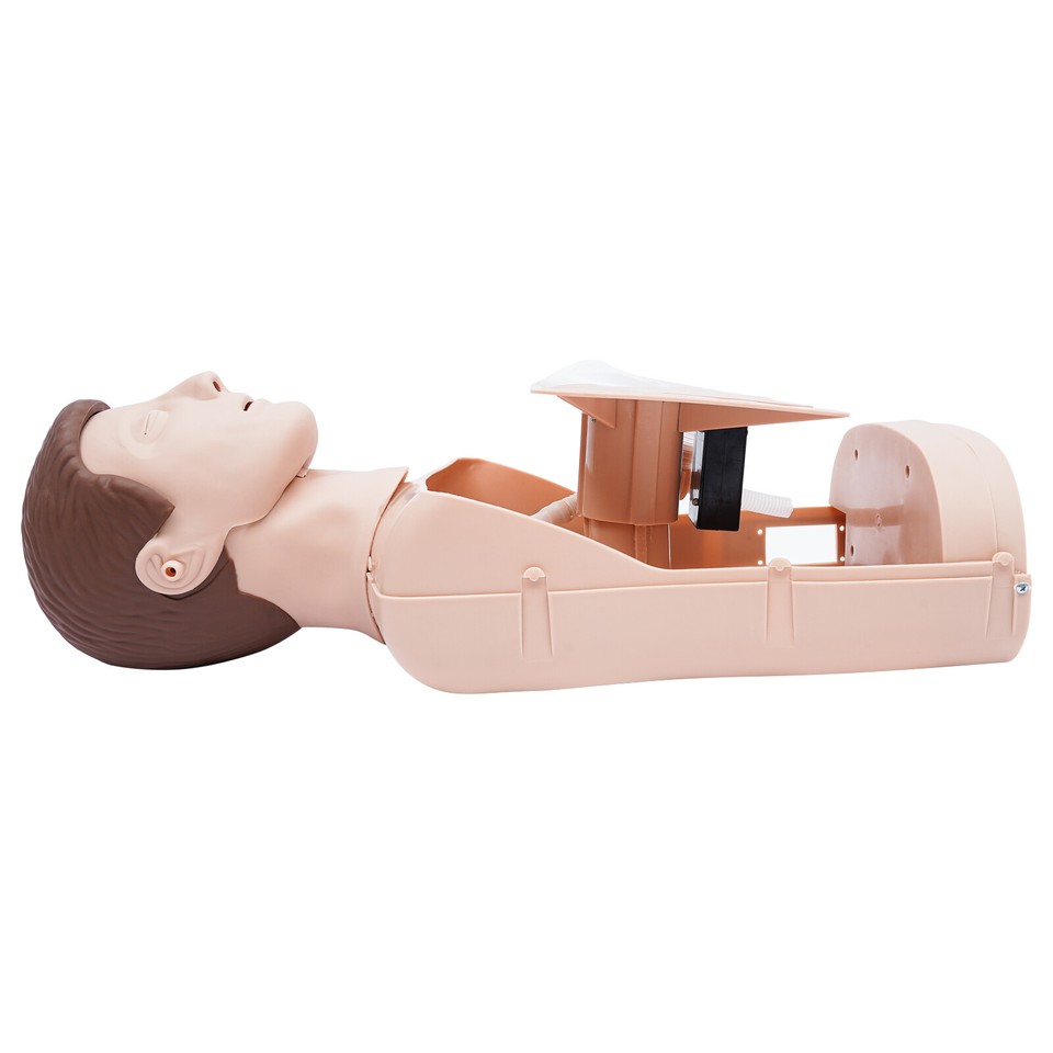 Adult CPR Adult Manikin for First Aid Training Patient Education ...