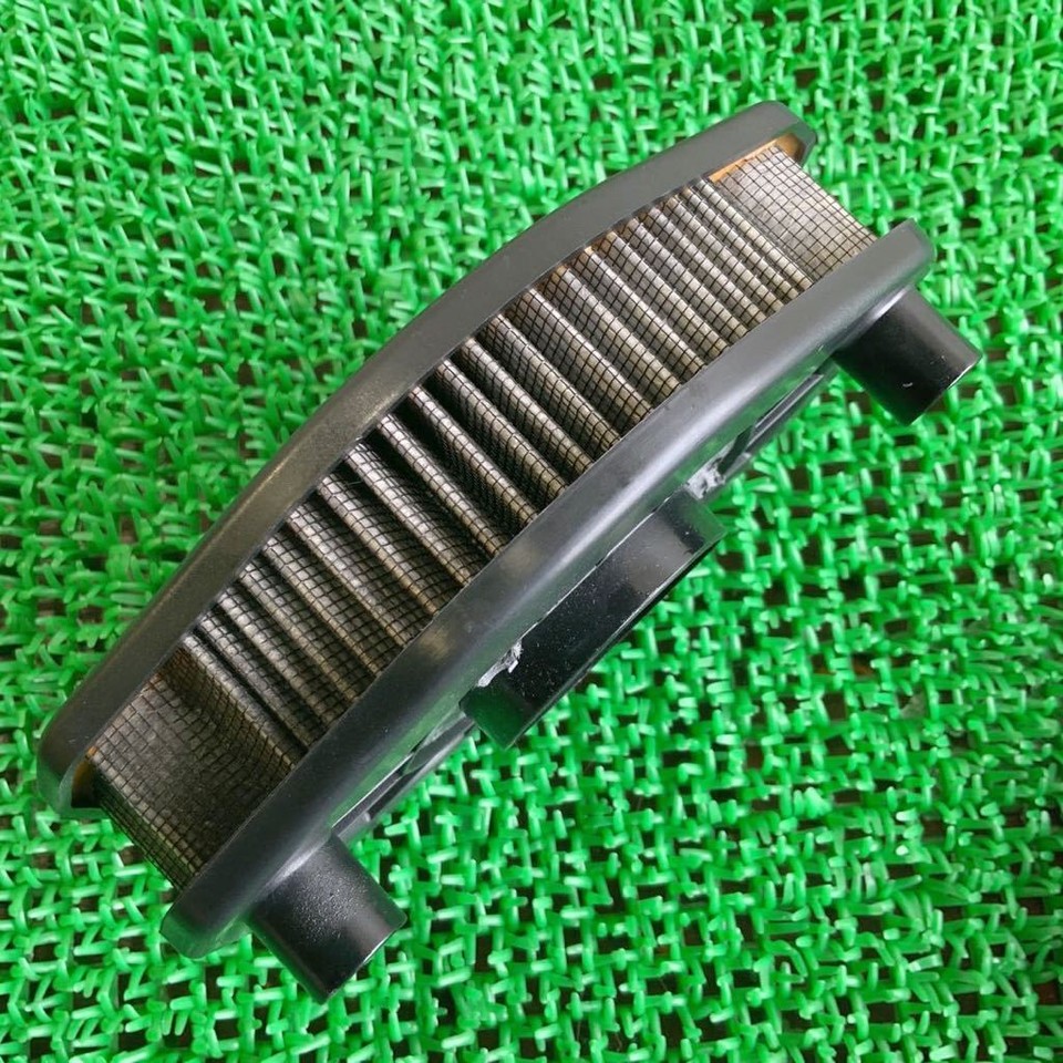 [USED]Harley Davidson Genuine XL1200 SportsterAir Cleaner Box 29000015A ...