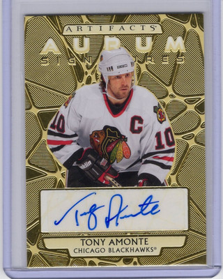 2025 Tony Amonte Gold Aurum Auto /25 #AS-TA Chicago Blackhawks SSP | eBay