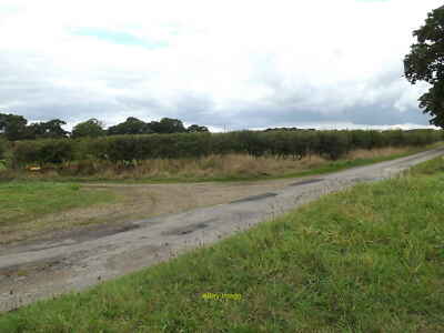 Photo 12x8 Broad Way Bridleway & New Road Dickleburgh Moor At the ...