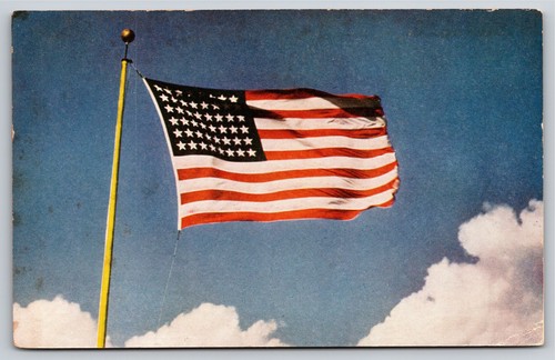 United States Flag~Old Glory!~Star Spangled Banner Flies High~Vintage ...