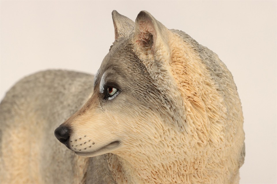JXK 1:6 Scale Steppe Wolf Model Wild Animal Figure Toy Collection ...
