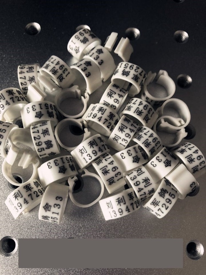 Customized Personalized Plastic Rings Poultry Leg Bands Bird Pigeon ...