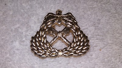Vintage DESERT STORM GULF WAR KUWAIT ARMY HAT BADGE INSIGNIA | eBay