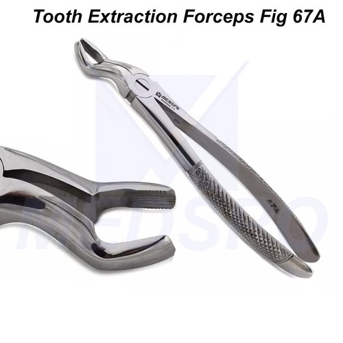 Dental Forceps Fig 67A Extracting Upper Wisdom Molars Dentist ...