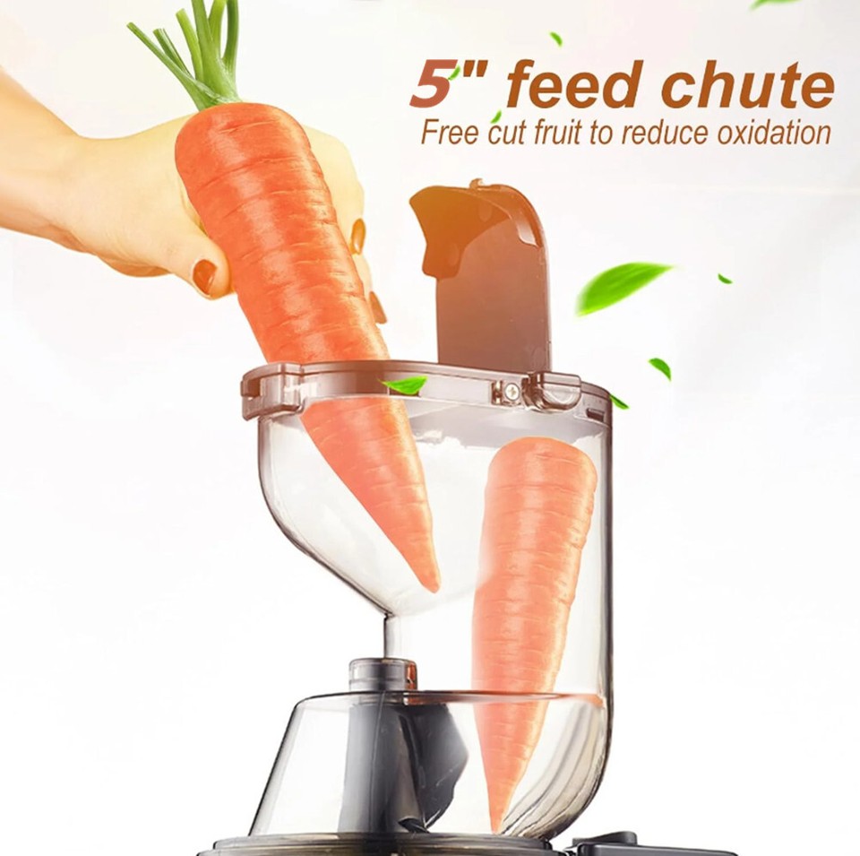 300W Electric Juicer Extractor Machine Slow Masticating Fruit ...