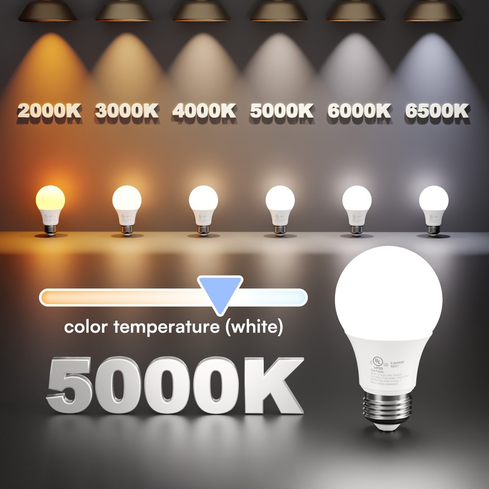 24 Pack A19 LED Light Bulbs 15W Equivalent 100W Replacement Daylight ...