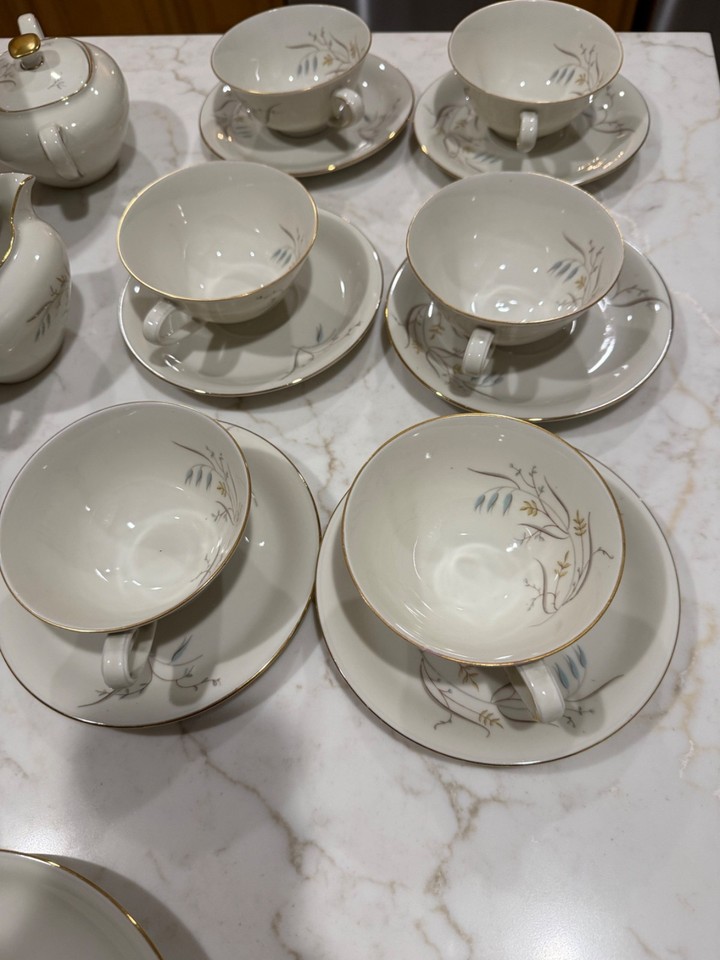 Vintage Eschenbach Bavarian 21 Piece Tea Set | eBay