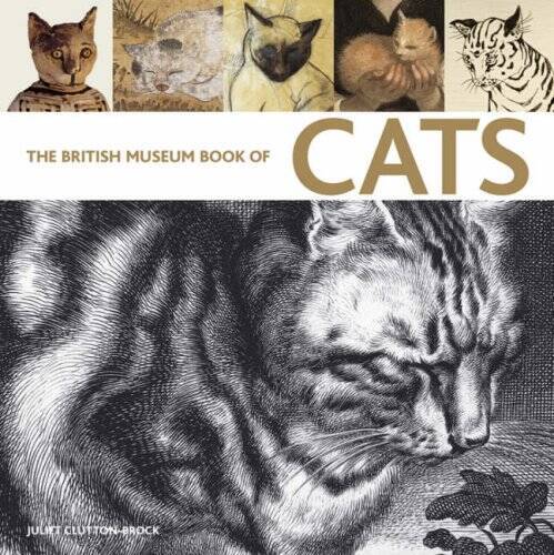 British Museum Book of Cats - Paperback By Juliet Clutton Brock - GOOD ...
