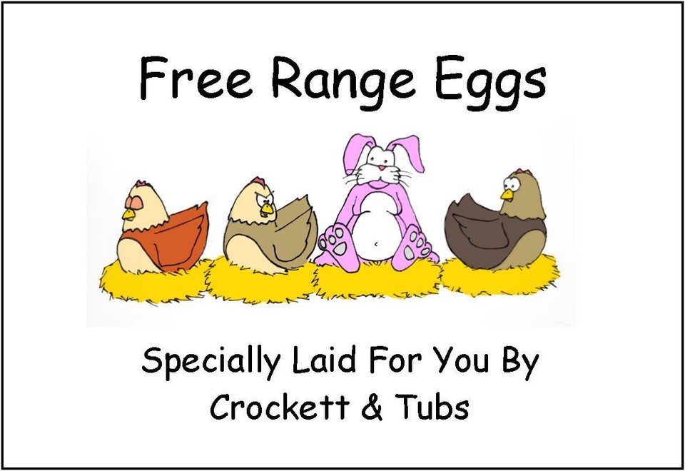 LARGE PERSONALISED CHICKEN HEN EGG BOX LABELS 8 Per Sheet | eBay UK