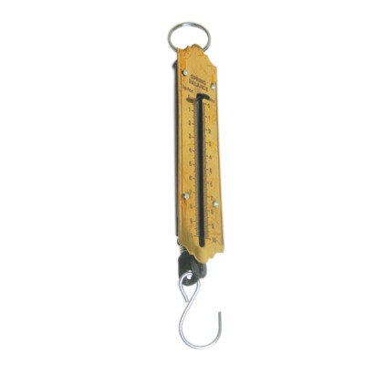 2 x Spring Balance Scale Flat Style 1000g/10N Graduated Each | eBay ...