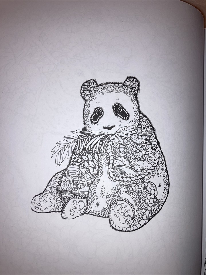 Colorama Coloring Book - The Magic Path - A Very Special Coloring ...