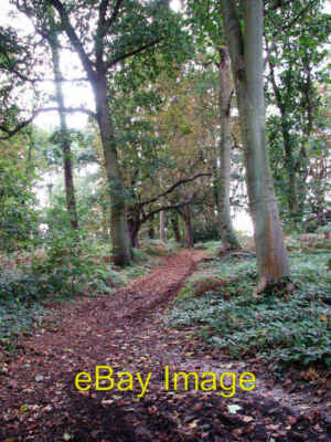 Photo 6x4 Woodland beside Blickling Road Itteringham Common It is part ...