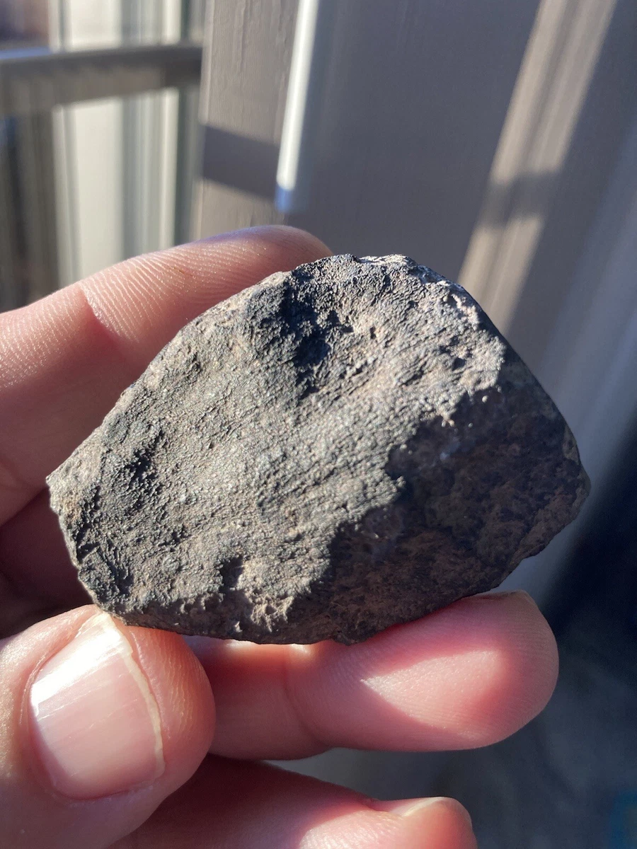 Allende Meteorite