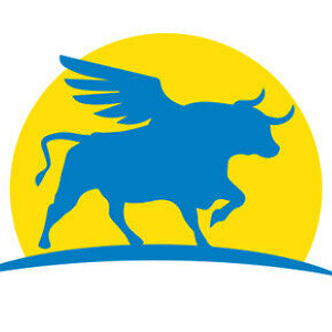 Bull Express | eBay Australia Stores