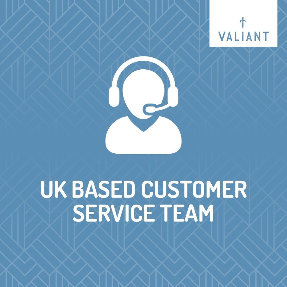 Valiant Indoor Water Feature with Flow Control and LED Lighting ...