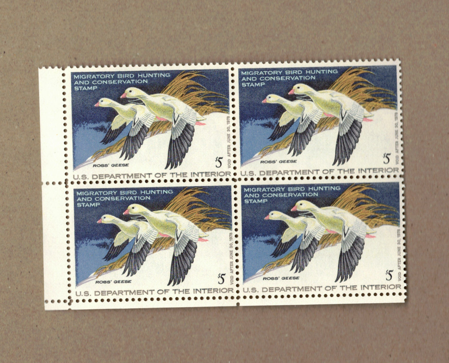 US Federal Duck Stamp 1977 RW44 $5 - Ross's Geese BLOCK OF 4 NEW ...