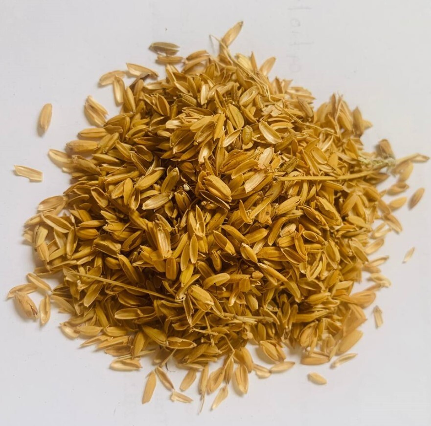 Rice Hulls Husks Natural Organic Compost Hydroponic Growing Media ...