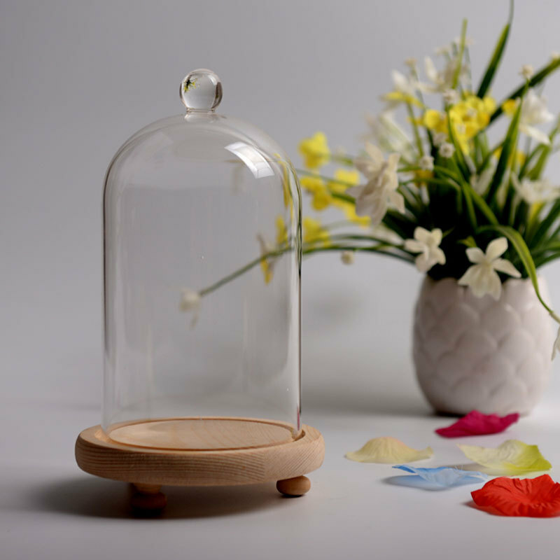 Decorative Glass Dome Bell Jar Wooden Base Cloche Bell Jar DIY Display ...