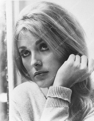 0847-004 gorgeous Sharon Tate portrait 847-04 0847-004 | eBay