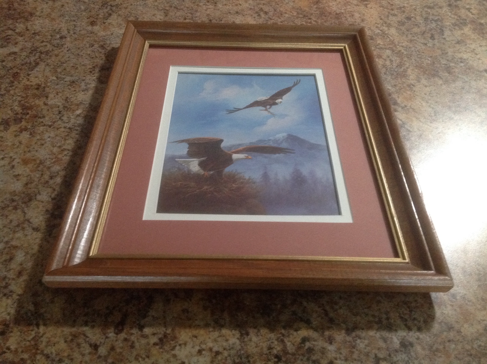 M. Caroselli Framed Matted Print '' Eagle Nesting '' | eBay