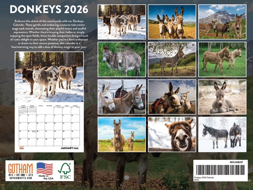 Donkey Calendar 2026 Monthly Wall Calender 12 Month | eBay