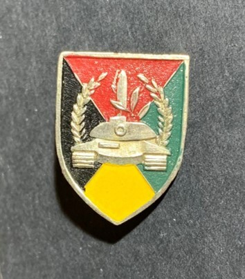 Israeli Army IDF militaria service pin trainer 460th Brigade/school ...